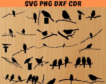 Bird SVG, Bird Svg Bundle, Flying Bird Svg, Sparrow Svg, Files for ...