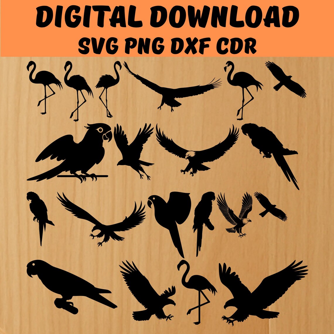 Bird SVG, Bird Svg Bundle, Flying Bird Svg, Animal Svg, Bird Clip Art ...