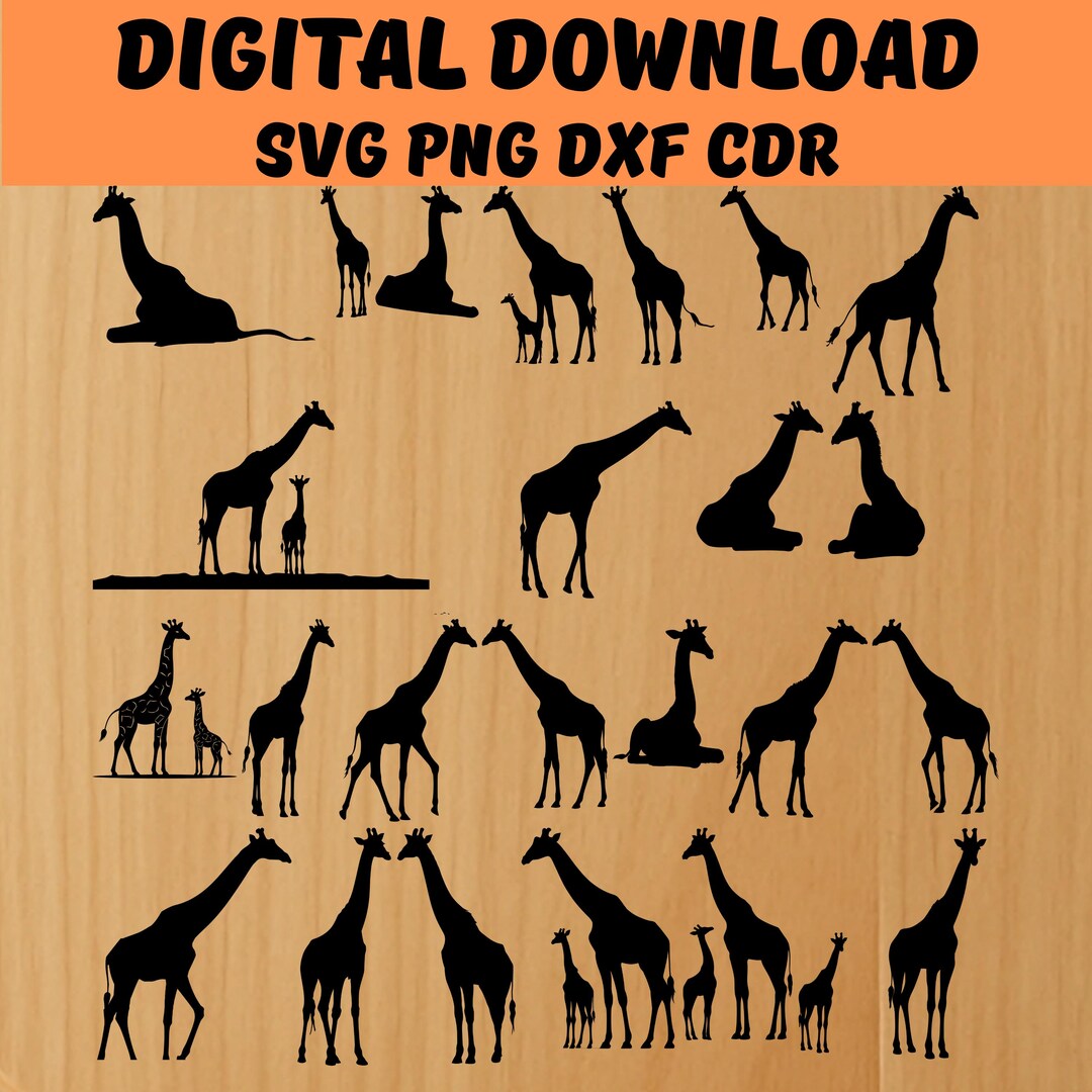 Giraffe SVG Bundle, Giraffe PNG Bundle, Giraffe Clipart, Giraffe ...