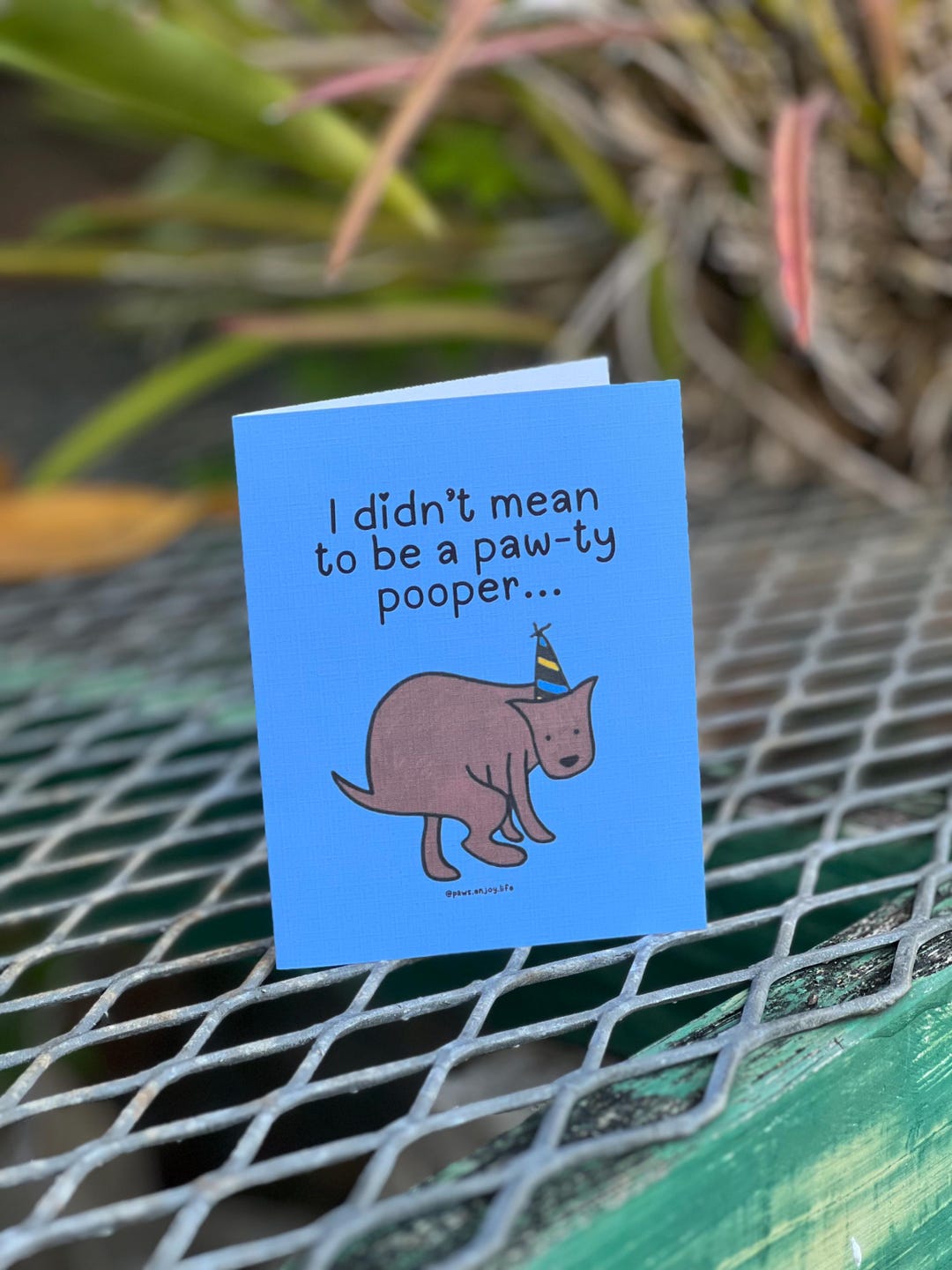 Party Pooper Happy Belated Birthday Celebration Card | Punny Funny ...