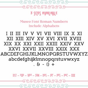 Traditional Roman Numerals Machine Embroidery Design, Museo Alphabets ...