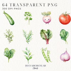 Watercolor Clipart Vegetables, Instant Download, Fresh Vegetables ...