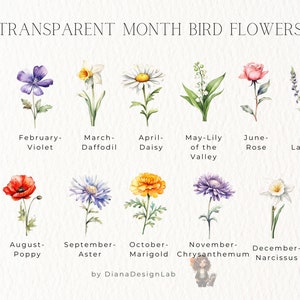 Birth Month Flowers Clipart, Birth Month Butterflies Clipart, Birth ...