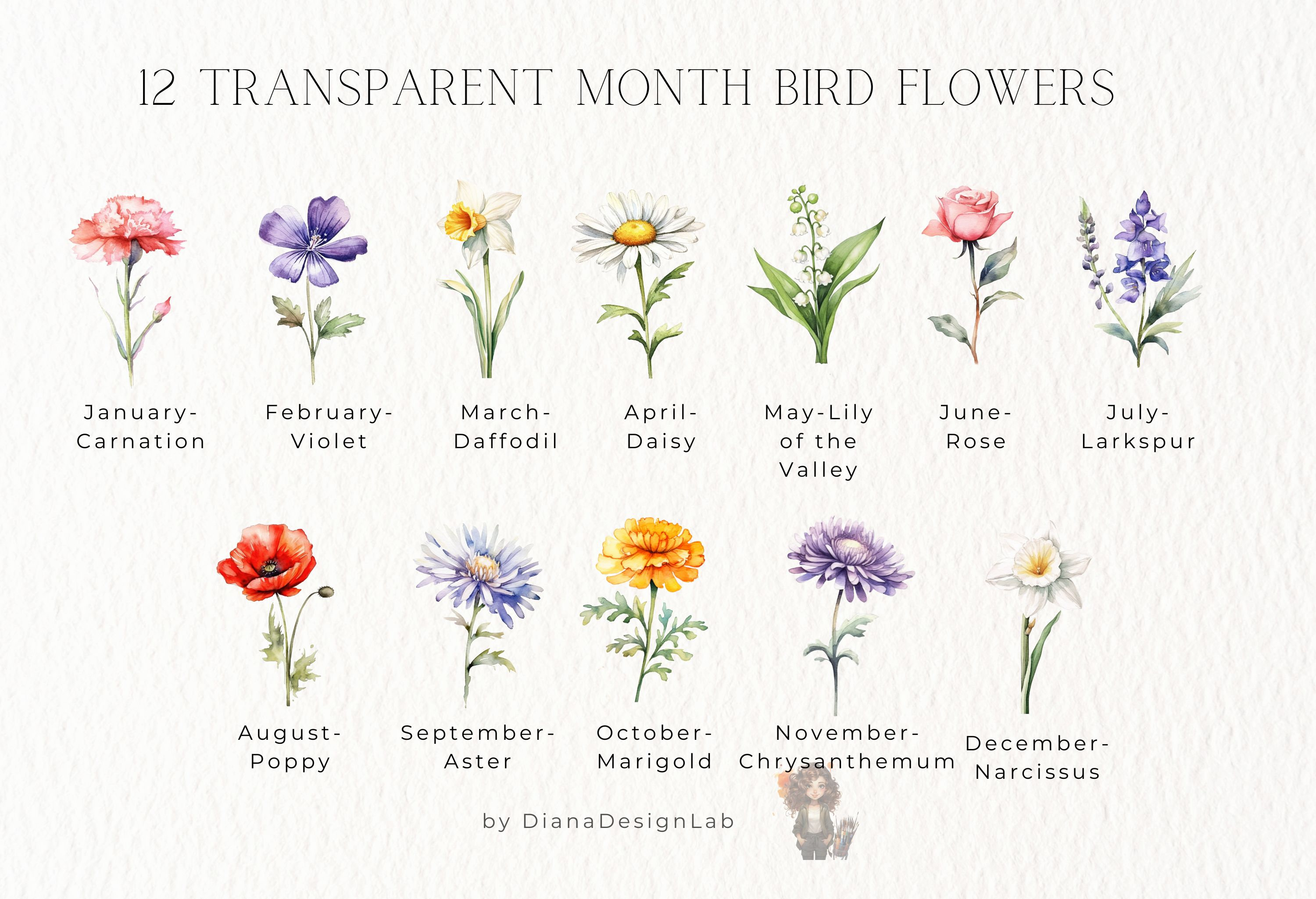 Birth Month Flowers Clipart, Birth Month Butterflies Clipart, Birth ...