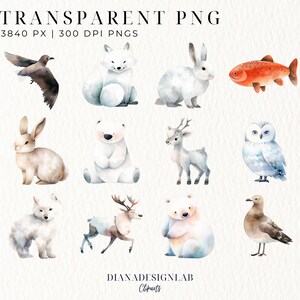 Arctic Animals Watercolor Clipart, Penguins, Winter Holiday Graphic ...