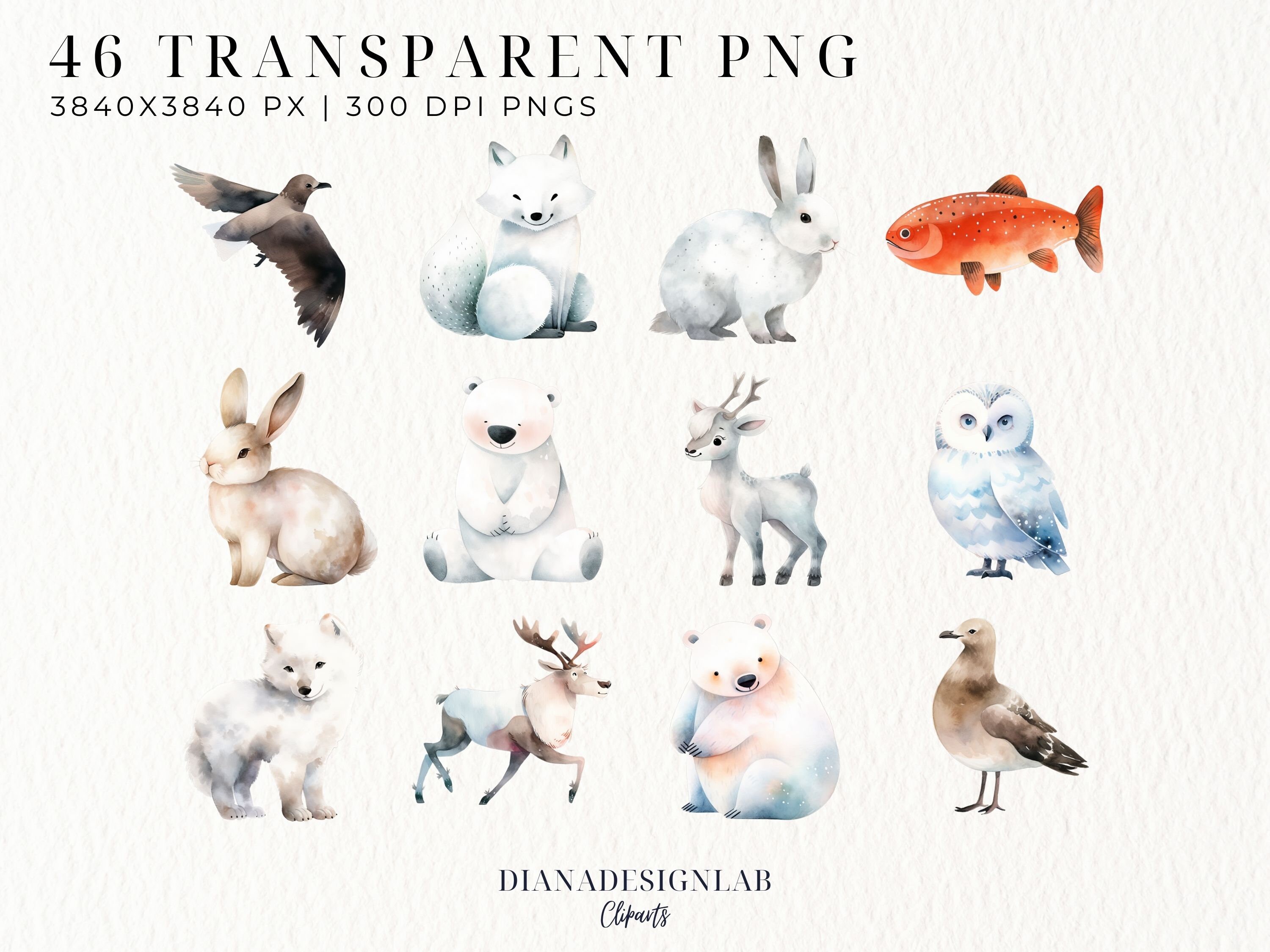 Arctic Animals Watercolor Clipart, Penguins, Winter Holiday Graphic ...