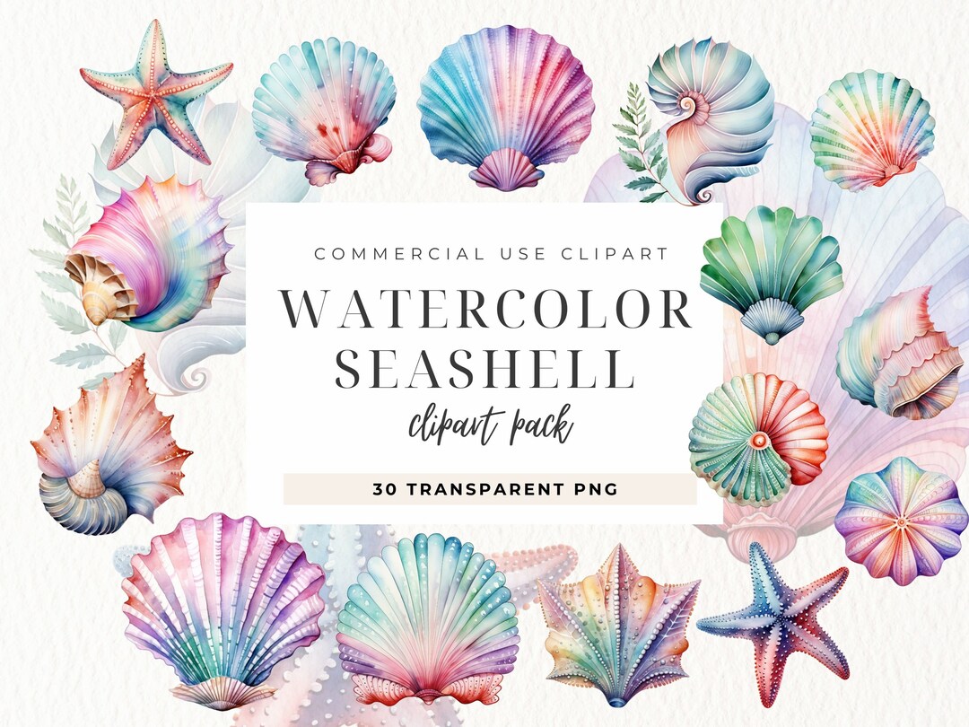Seashell Clipart, Pastel Watercolor Clipart Under the Sea, Beach ...