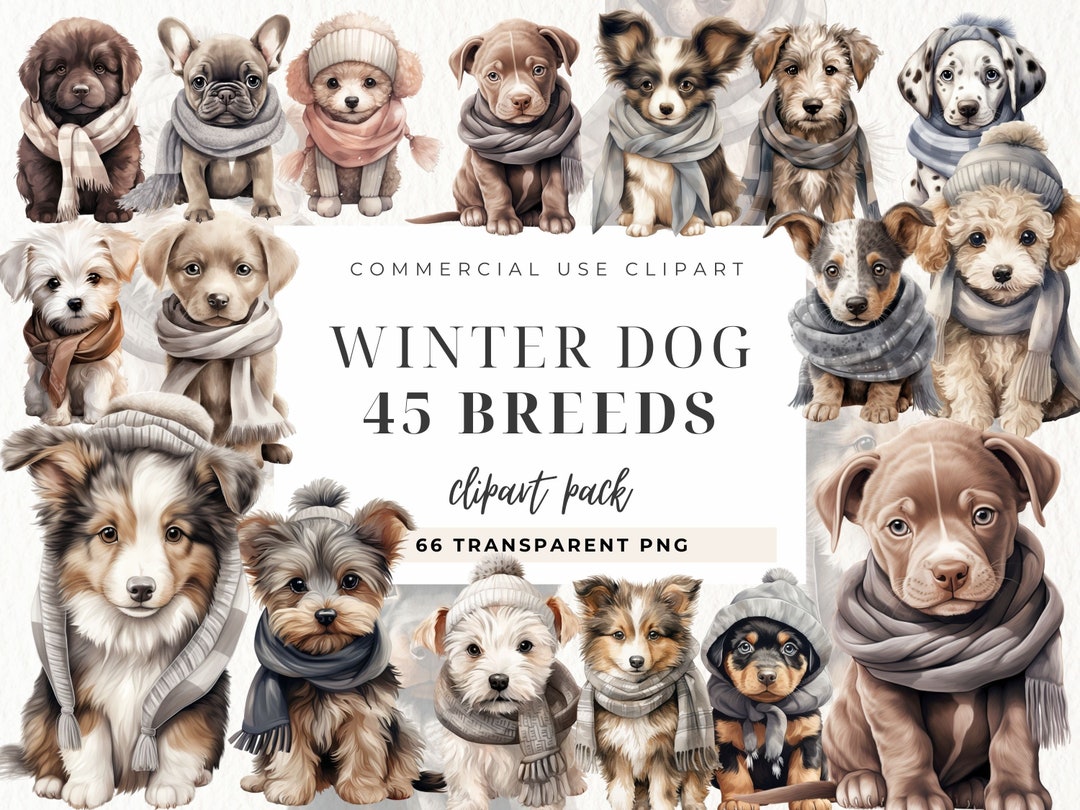 Watercolor Christmas Dogs Clipart Bundle, Winter Dog, Puppy Png ...