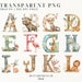 Safari Alphabet Clipart, Alphabet Letters Bundle, Jungle Animals ...