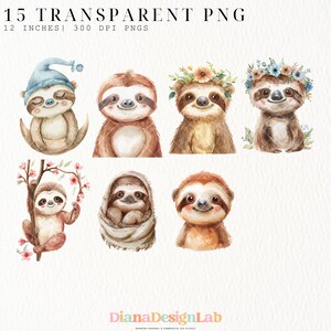 Watercolor Baby Sloth Clipart, Cute Sloth PNG Woodland Animal, Forest ...