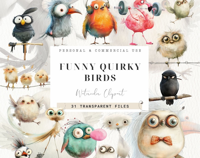 Quirky Bird Clipart | Funny Bird Png | Cute Caricature Birds | Bird ...
