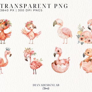 Baby Flamingo Clipart, Instant Download, Cricut, Safari Baby, Summer ...