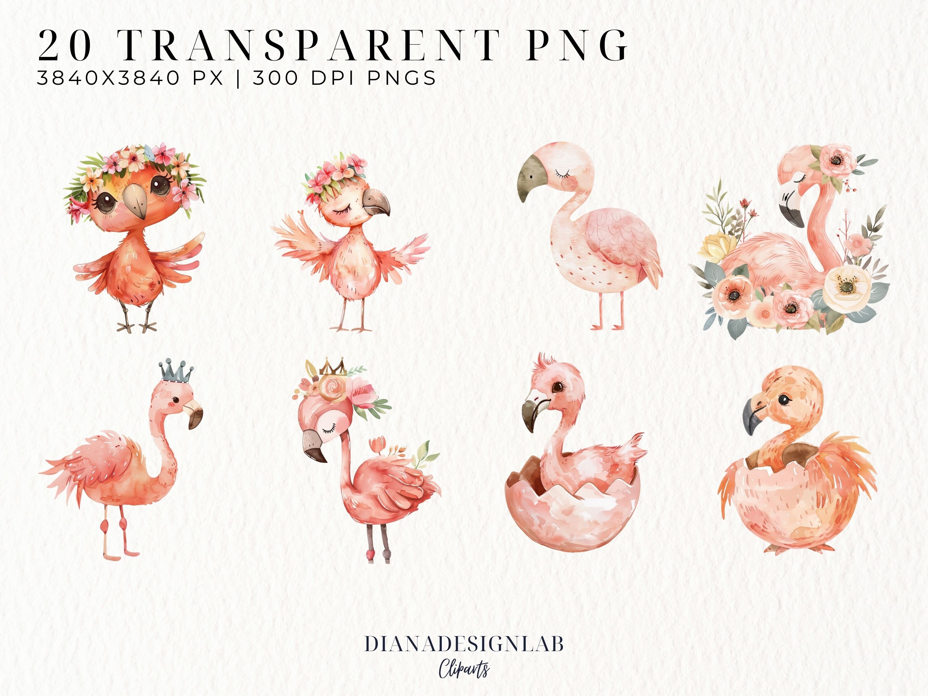 Baby Flamingo Clipart, Instant Download, Cricut, Safari Baby, Summer ...