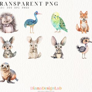 Australian Animals Clipart, Commercial Use, Nursery Decor, Digital ...