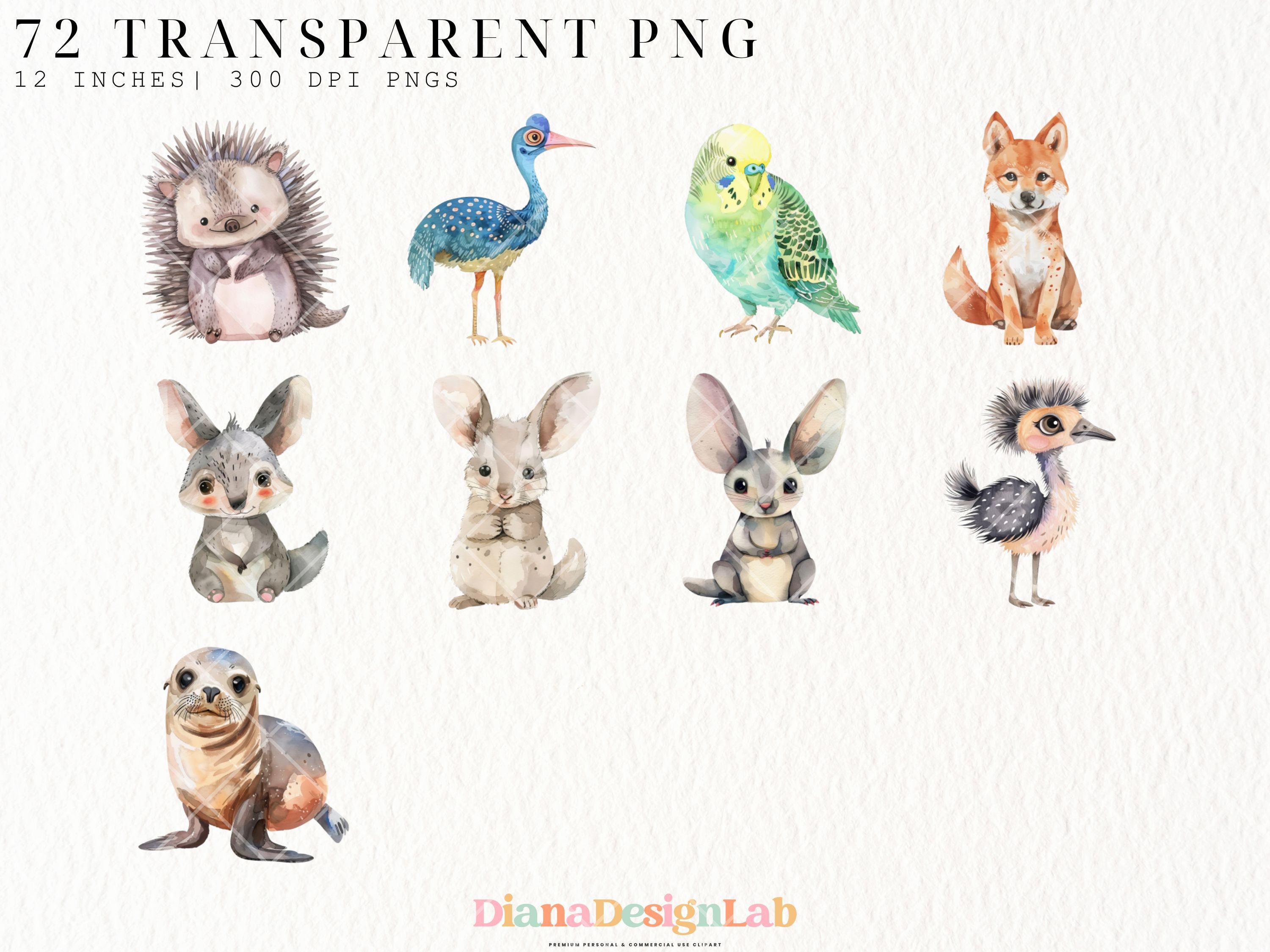 Australian Animals Clipart, Commercial Use, Nursery Decor, Digital ...