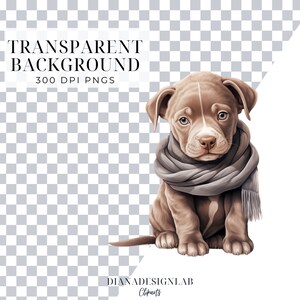 Watercolor Christmas Dogs Clipart Bundle, Winter Dog, Puppy Png ...