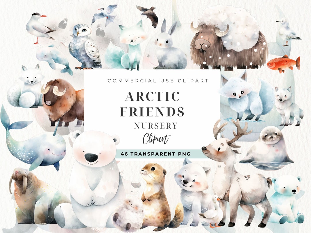 Arctic Animals Watercolor Clipart, Penguins, Winter Holiday Graphic ...