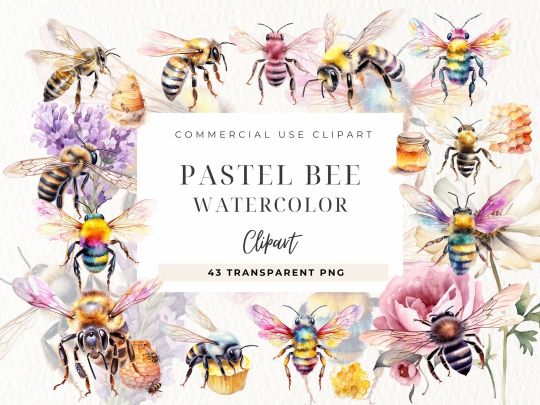 Bee Watercolor Clipart, Honey Clip Art, Baby Wall Art, Bee's Clipart ...