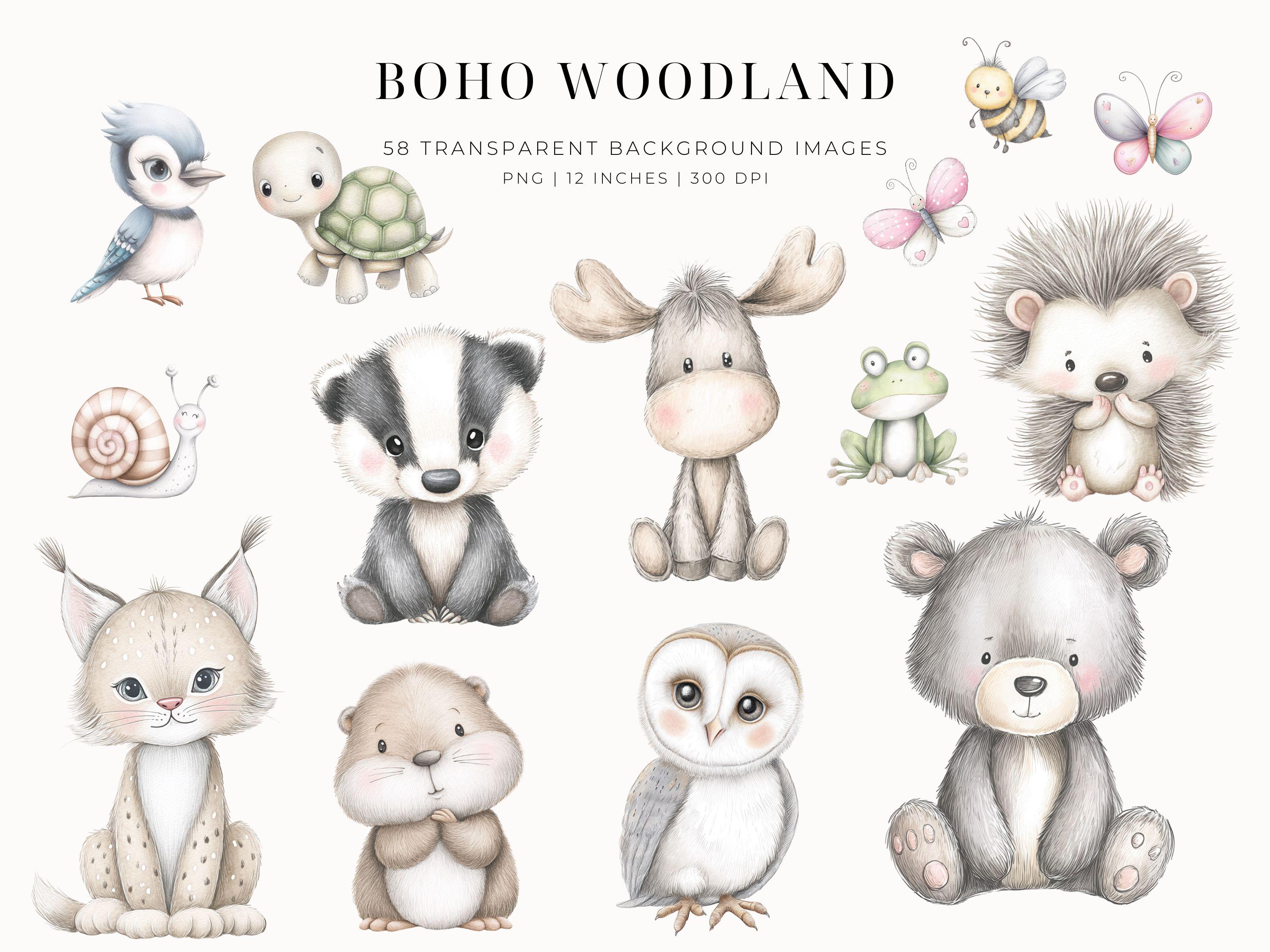 Boho Woodland Clipart, Baby Animals, Nursery Decor, Woodland Baby ...
