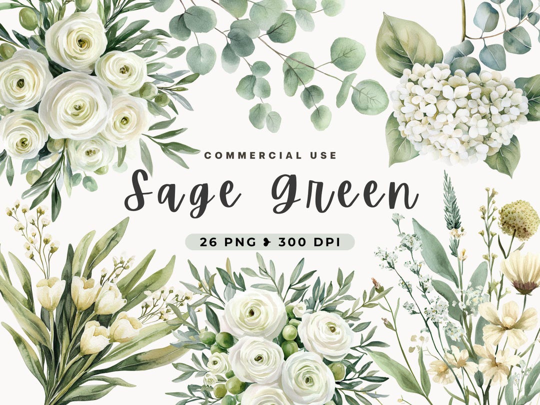 Sage Green Flowers Clipart, Watercolor Greenery, Elegant White Rose and ...