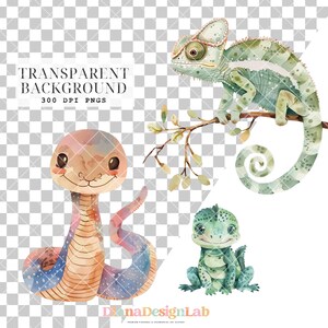 Watercolor Reptile Clipart, Lizard Cut File, Bearded Lizard, Reptile ...