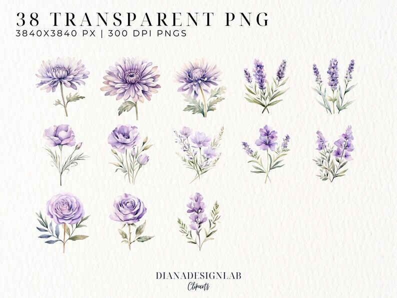 Watercolor Lavender Floral Clipart: Wedding Flower Frame (PNG, PDF) - Etsy