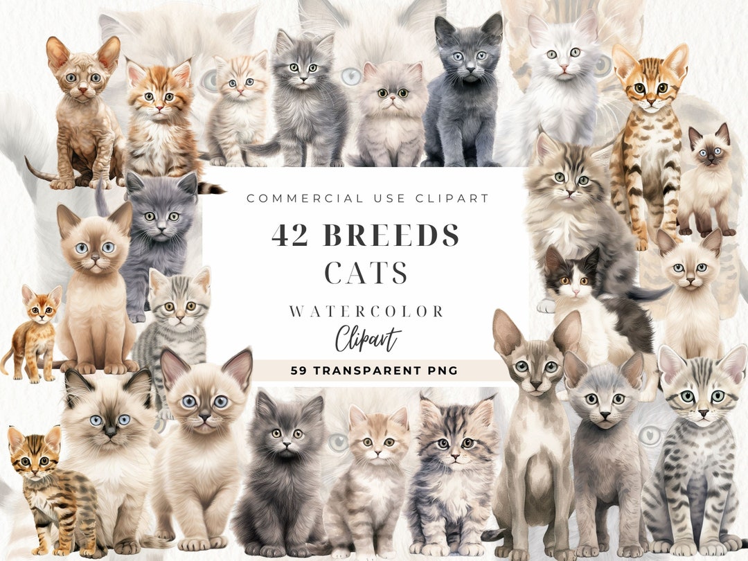 Cat Breed Clipart, Watercolor Cat Illustrations, 42 Breeds ...