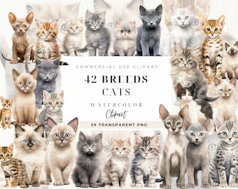 Cats PNG Bundle Cat Breed Clip Art Bundle With 26 Detailed Cat ...