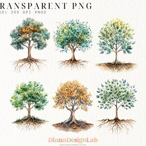 Watercolor Tree With Roots Clipart, Tree of Life Art, Life Element ...