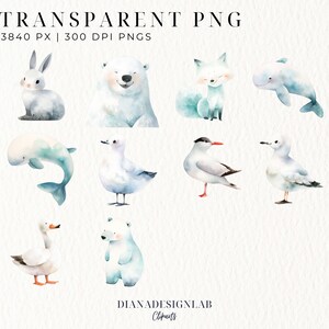 Arctic Animals Watercolor Clipart, Penguins, Winter Holiday Graphic ...