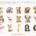 Animals and Alphabet Clipart, Letters Clip Art, Fog Forest, Woodland ...