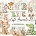 Safari Alphabet Clipart, Alphabet Letters Bundle, Jungle Animals ...