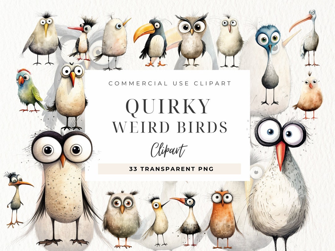 Quirky Birds Clipart, Digital Download, Memory Books, Card Making ...
