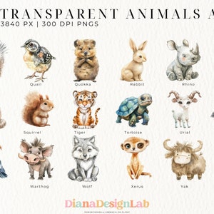 Animals and Alphabet Clipart, Letters Clip Art, Fog Forest, Woodland ...