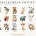 Animals and Alphabet Clipart, Letters Clip Art, Fog Forest, Woodland ...