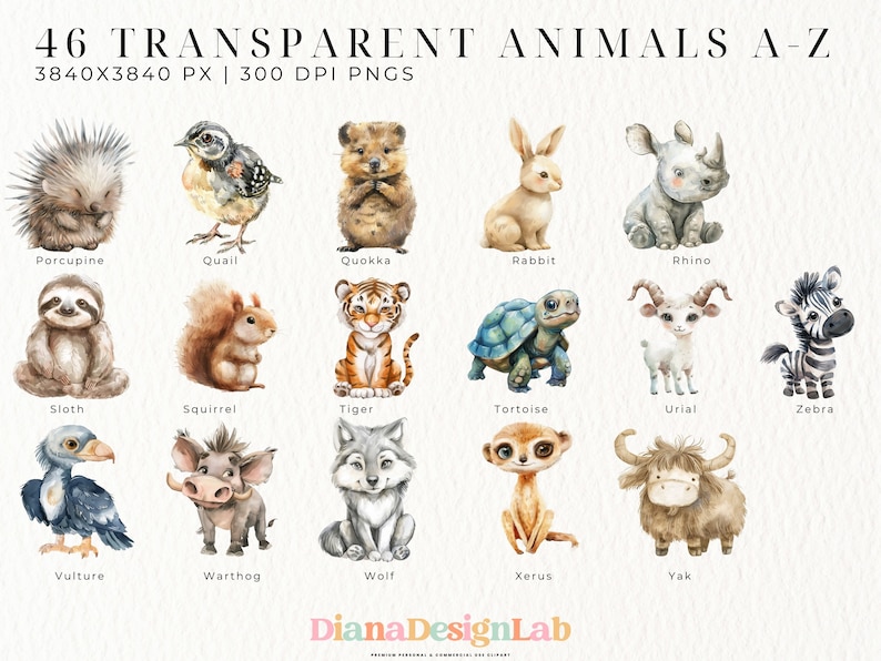 Animals and Alphabet Clipart, Letters Clip Art, Fog Forest, Woodland ...