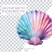Seashell Clipart, Pastel Watercolor Clipart Under the Sea, Beach ...