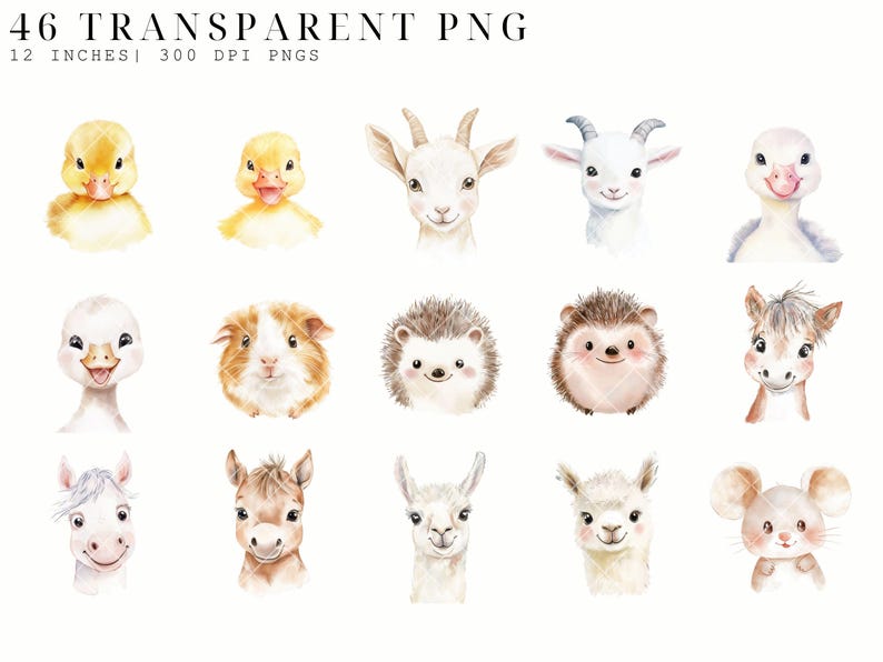 Farm Animals Faces Clipart, Yard Clipart, Cow, Pig, Farm Baby Portrait ...