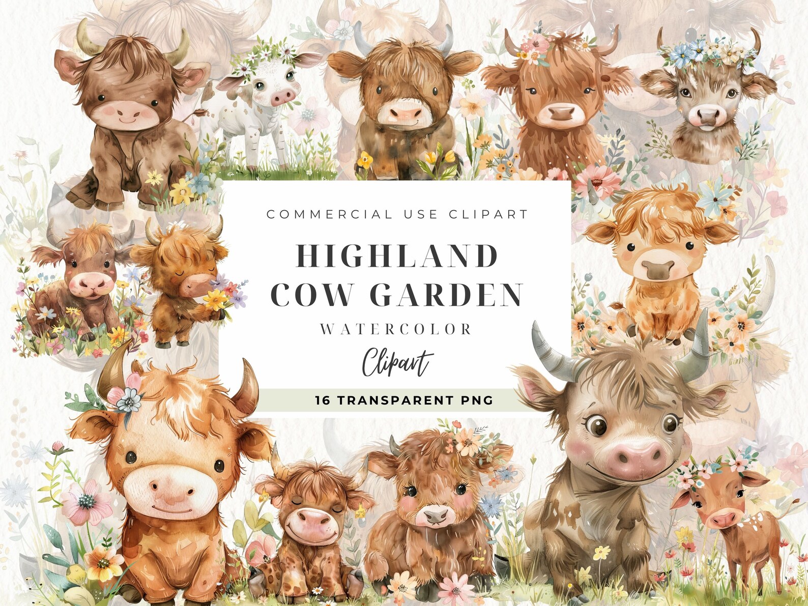 Baby Highlander Cows in Flowers Clipart, Highland Cow Sublimation ...