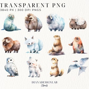 Arctic Animals Watercolor Clipart, Penguins, Winter Holiday Graphic ...