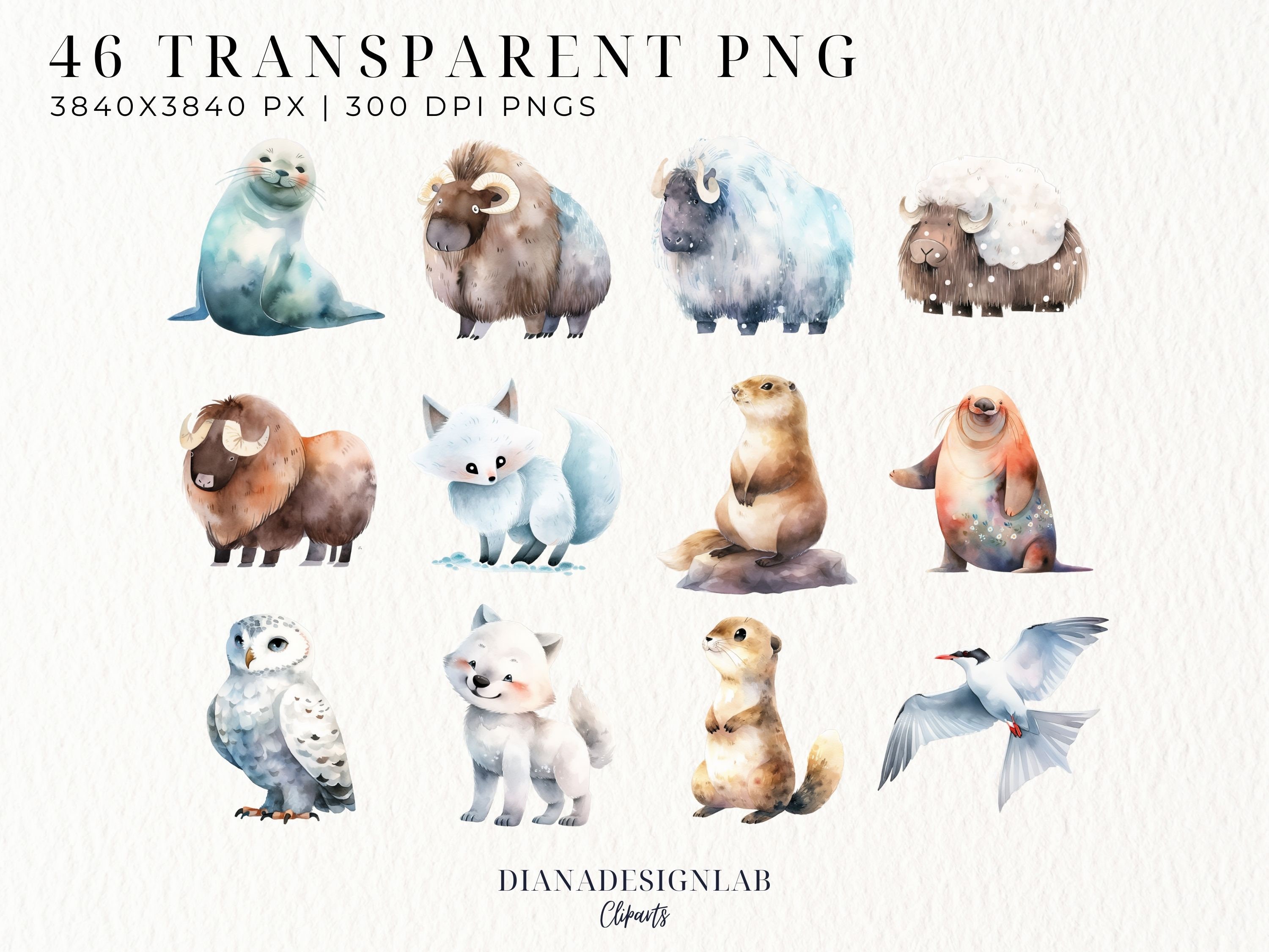 Arctic Animals Watercolor Clipart, Penguins, Winter Holiday Graphic ...