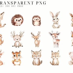Woodland Boho Clipart, Forest Nursery, Baby Cute Animals, Watercolor ...
