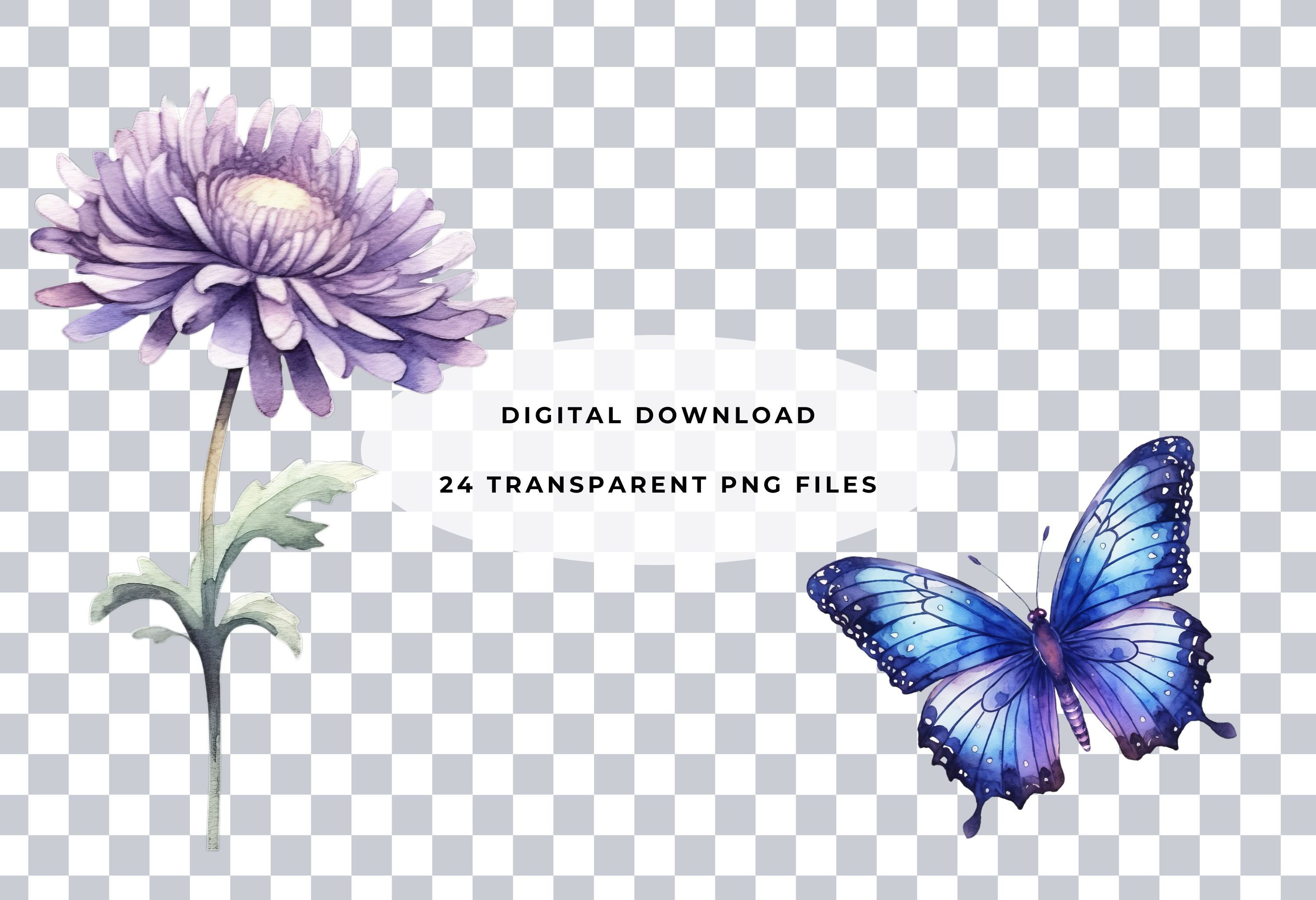 Birth Month Flowers Clipart, Birth Month Butterflies Clipart, Birth ...