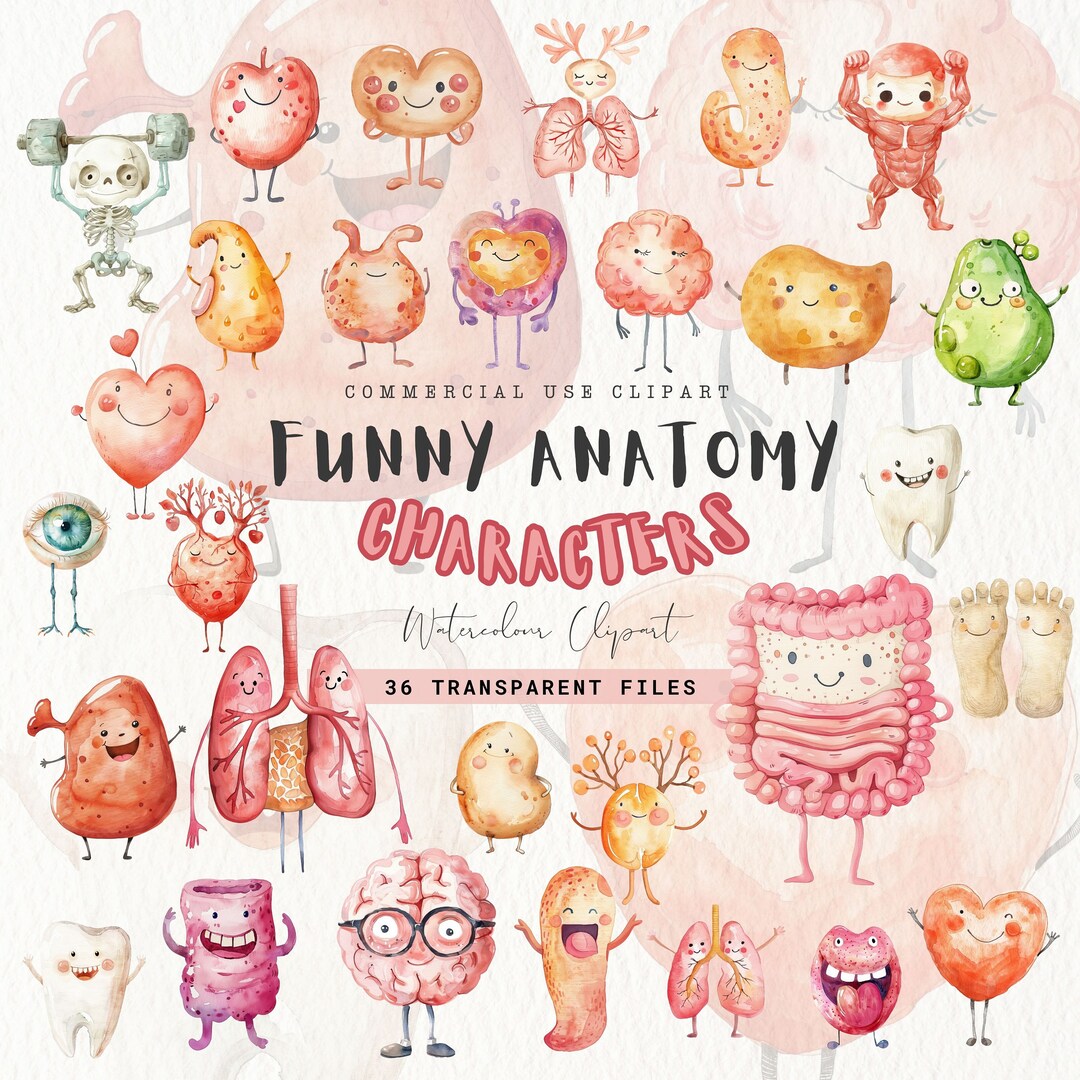 Funny Anatomy Clipart, Watercolor Human Body Organs Clipart, Skeleton ...