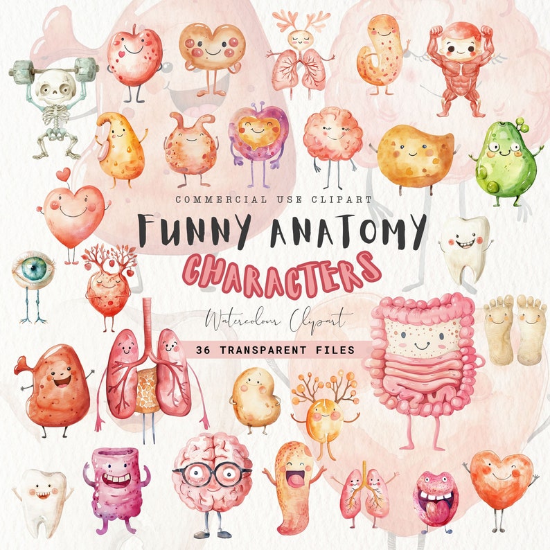 Funny Anatomy Clipart, Watercolor Human Body Organs Clipart, Skeleton ...