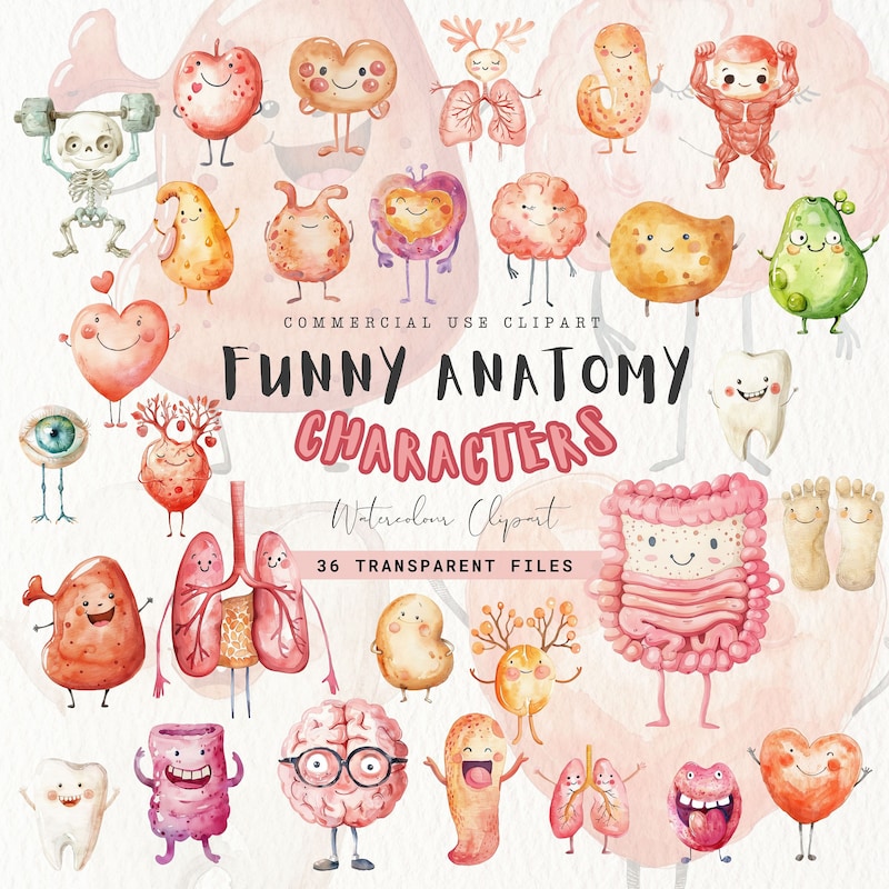 Quirky Anatomy Art - Etsy