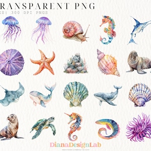 Ocean Animals Clipart Watercolor, Cute Under the Sea, Sea Turtle, Sea ...