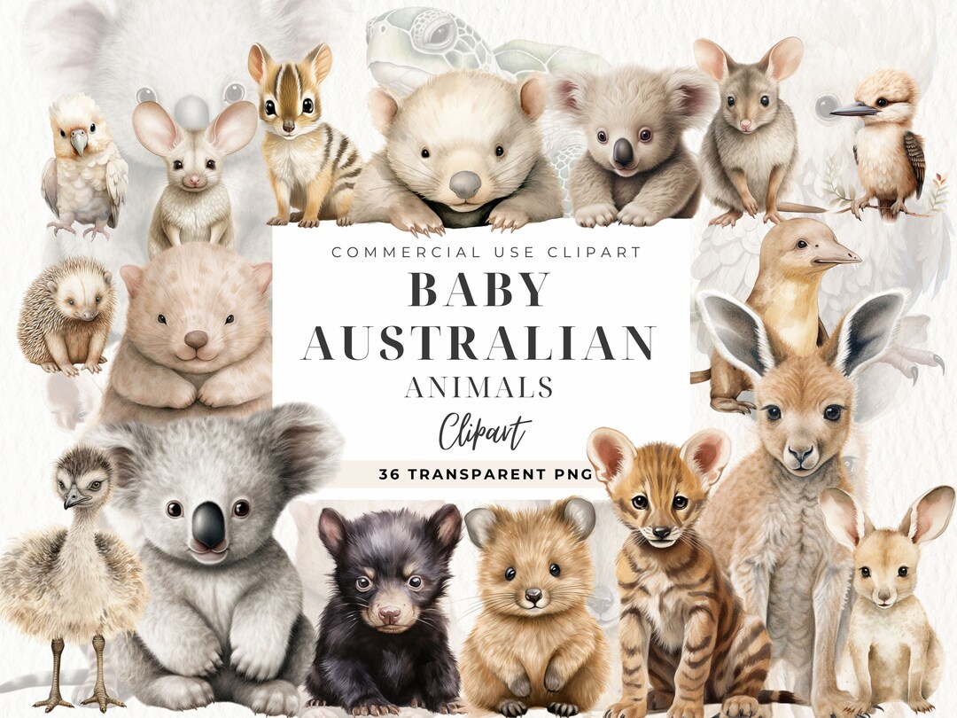 Australian Animals Clipart, Paper Crafts, Tasmanian Devil, Aussie Baby ...