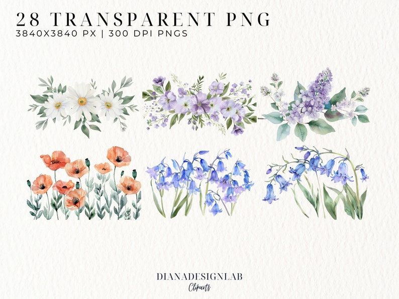 Wildflower Meadow Clipart, Summer Floral Nature, Watercolor Clipart ...