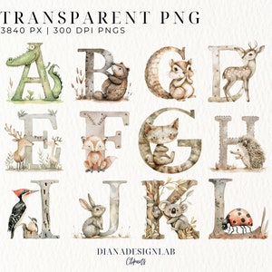 Woodland Alphabet Clipart, Letter Clip Art, Fog Forest, Commercial Use ...